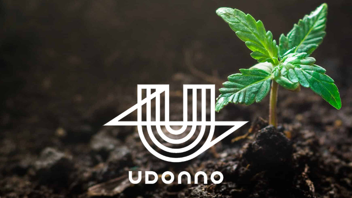New Location & New Beginnings!! – Udonno